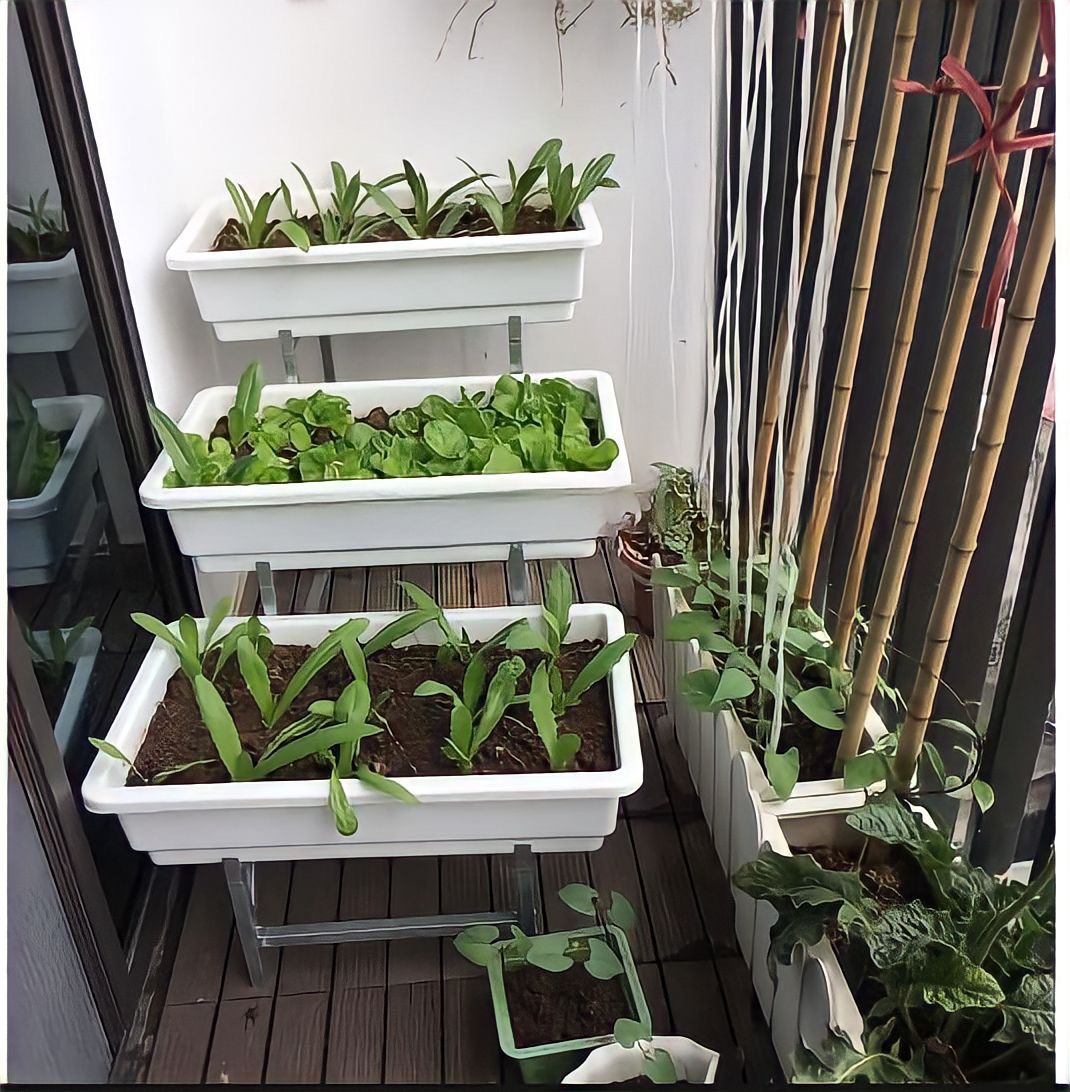 Kệ trồng rau bậc thang 3 tầng có bánh xe - Trồng rau ban công, sân thượng dễ dàng